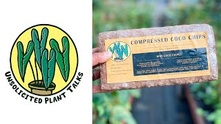Unsolicited Plant Talks ep.3 - Why I love coco husks for hoyas!
