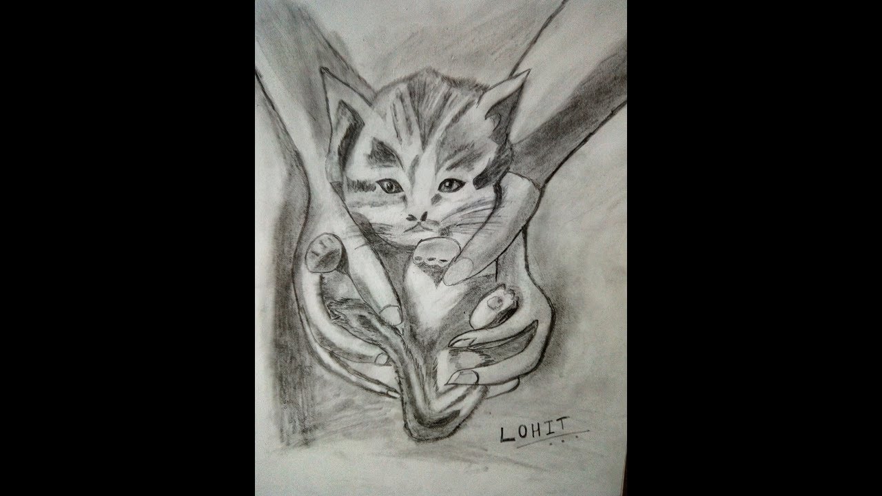 Drawing Cat | time lapse | Cute Cat - YouTube