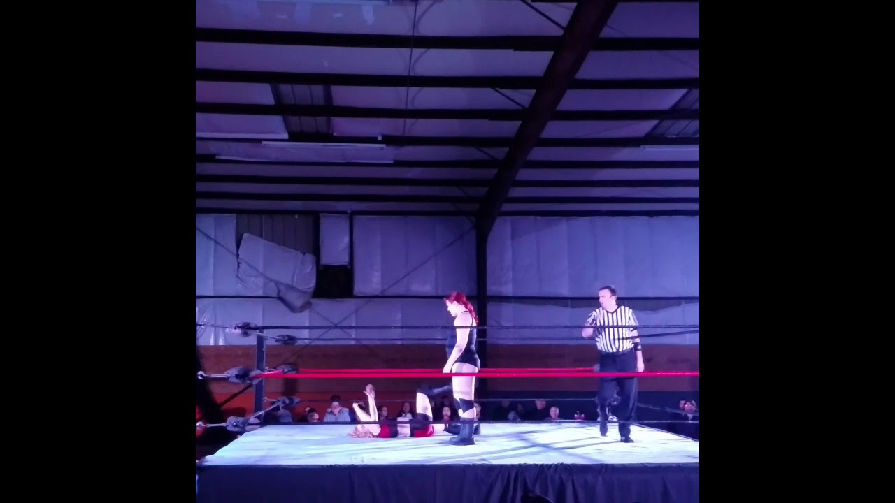 Ali bama vs killa kate vs nova Phoenix - YouTube