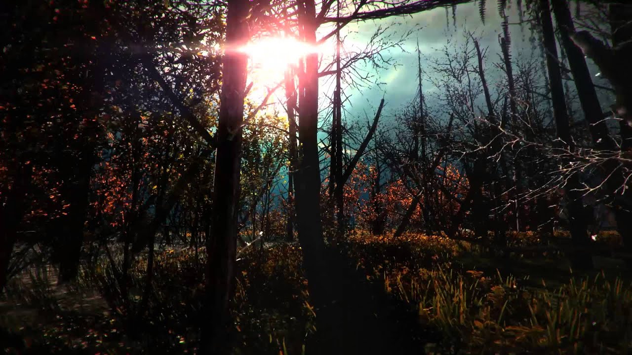 Scenes from Ingonga - Part II - The Tapes - YouTube