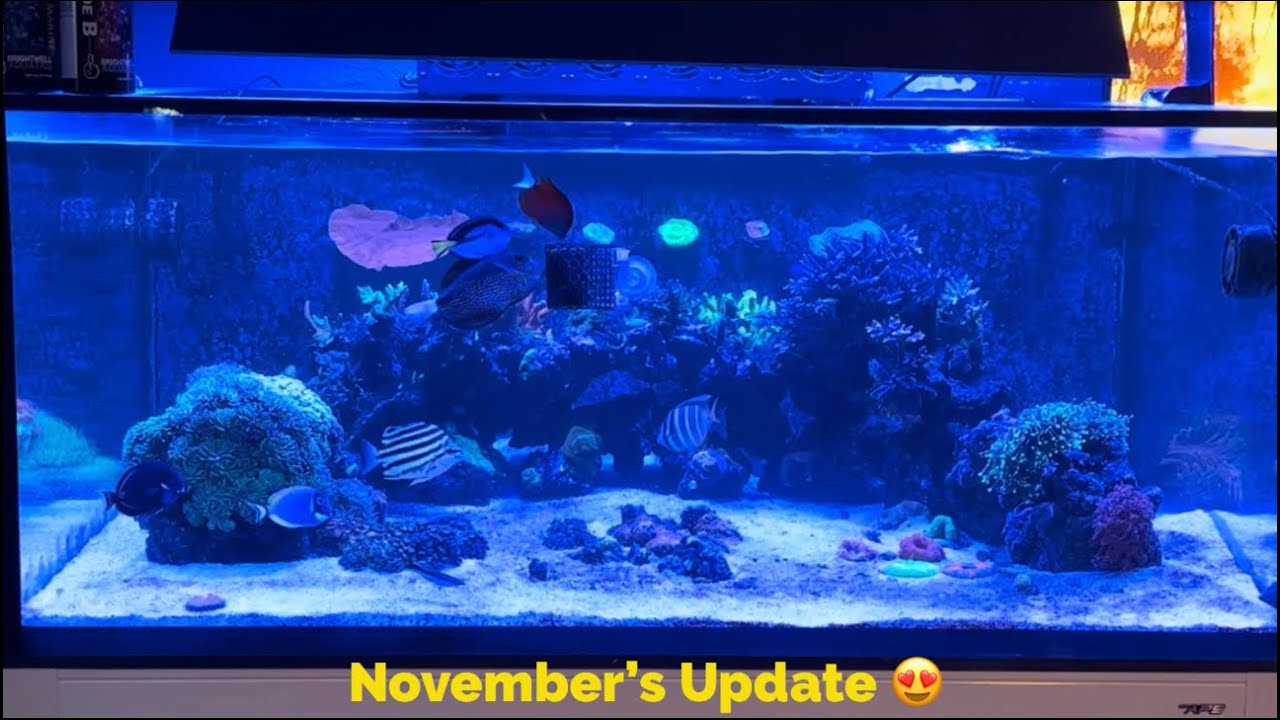 Innovative Marine EXT 150 November’s Update #4 - YouTube