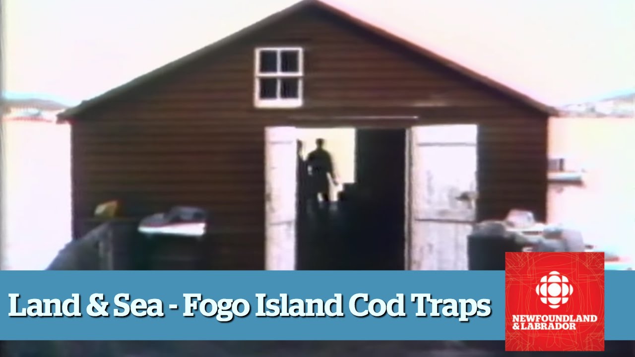 Land & Sea - Fogo Island Cod Traps - Full Episode - YouTube
