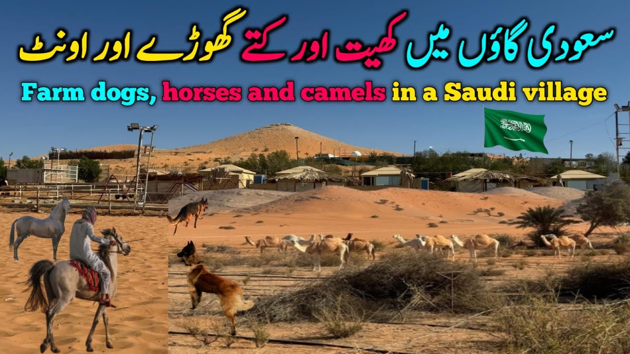 Farm in village in Saudi Arabia | Saudi village vlog | Arab desert ...