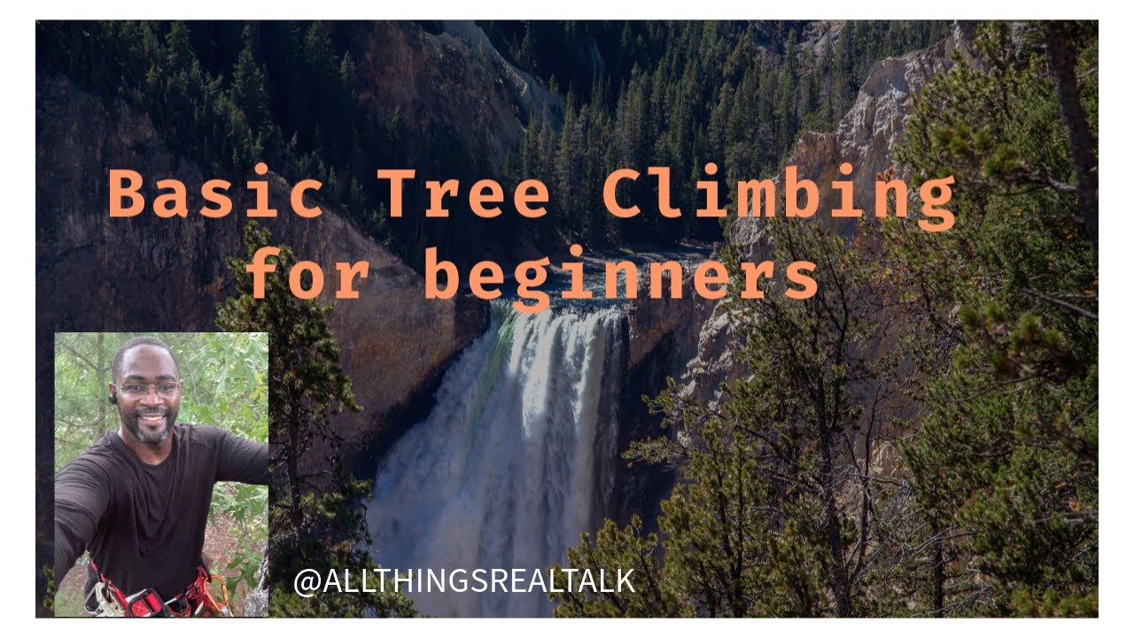 How to start “Basic Tree Climbing” !! - YouTube