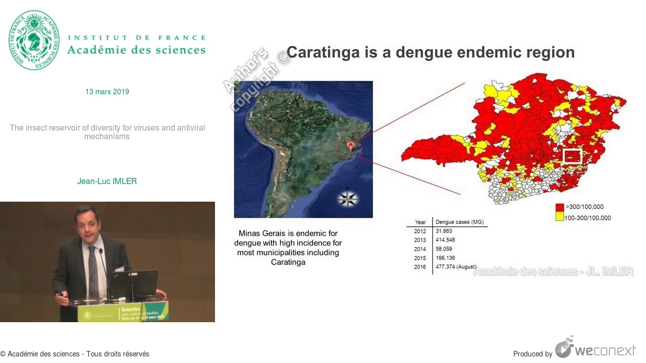 [Conférence] JL. IMLER - The insect reservoir of diversity for viruses ...