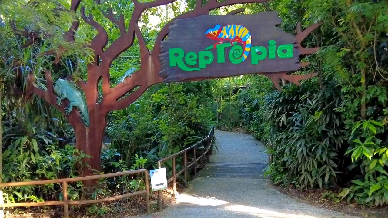 SINGAPORE ZOO REPTOPIA TOUR 2021 - YouTube