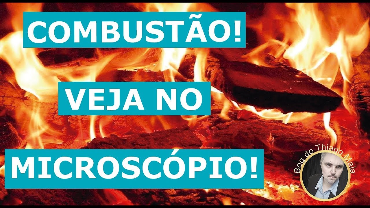 24) O que é uma combustão? (VEJA ACONTECENDO NO MICROSCÓPIO!) - YouTube