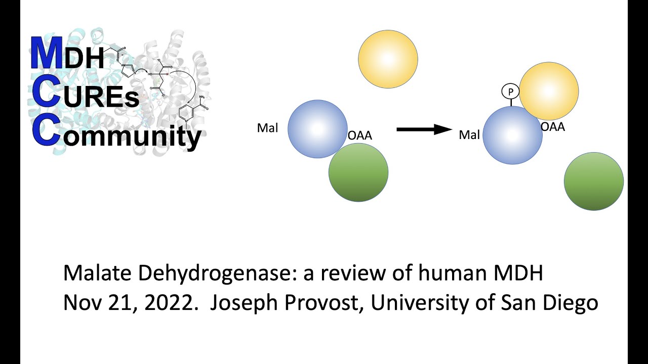 MDH CURES: Human MDH PPI & PTM Review - YouTube