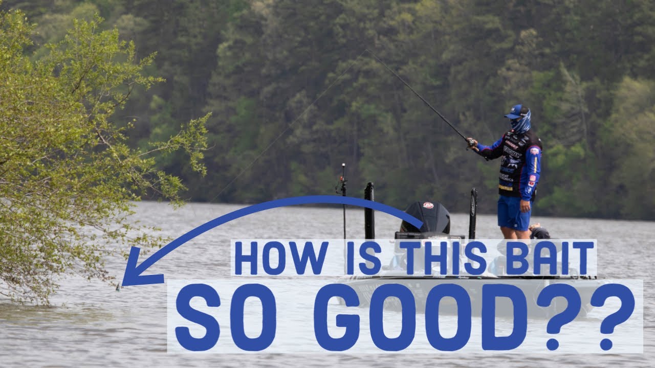 This Bait Has Made Me LOTS Of Money!! How Is It SO GOOD? - YouTube
