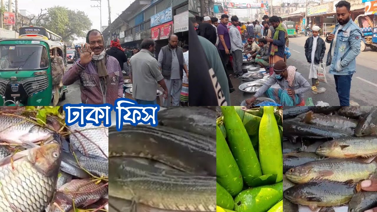 Street Fish Bazar in Bangladesh @ Keranigonj Super Fish Market in Dhaka - YouTube