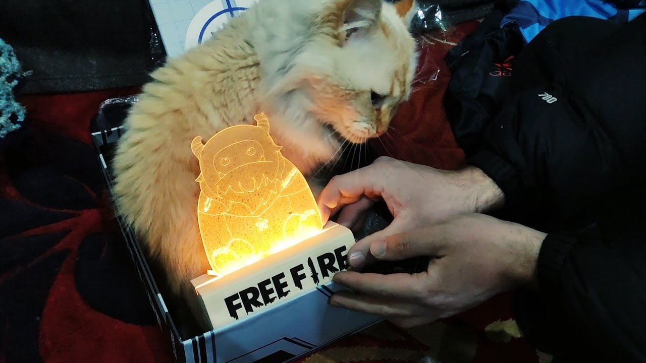 MY CAT LOVES FREE FIRE GIFTS😀🤣 UNBOXING - Garena Free fire - YouTube