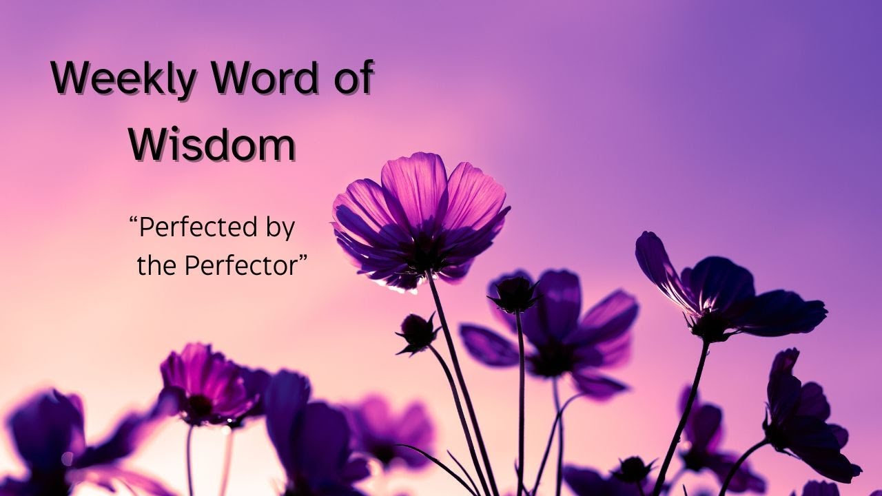 Weekly Word of Wisdom: "Perfected by the Perfector" - YouTube