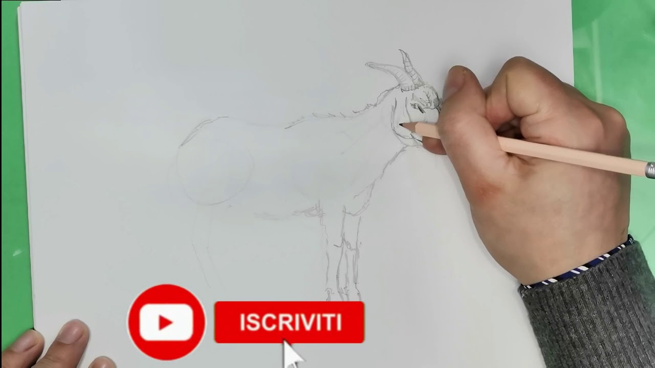 Come Disegnare Una Capra Realistica Come Un Seme Di Mela | Sceglilibro