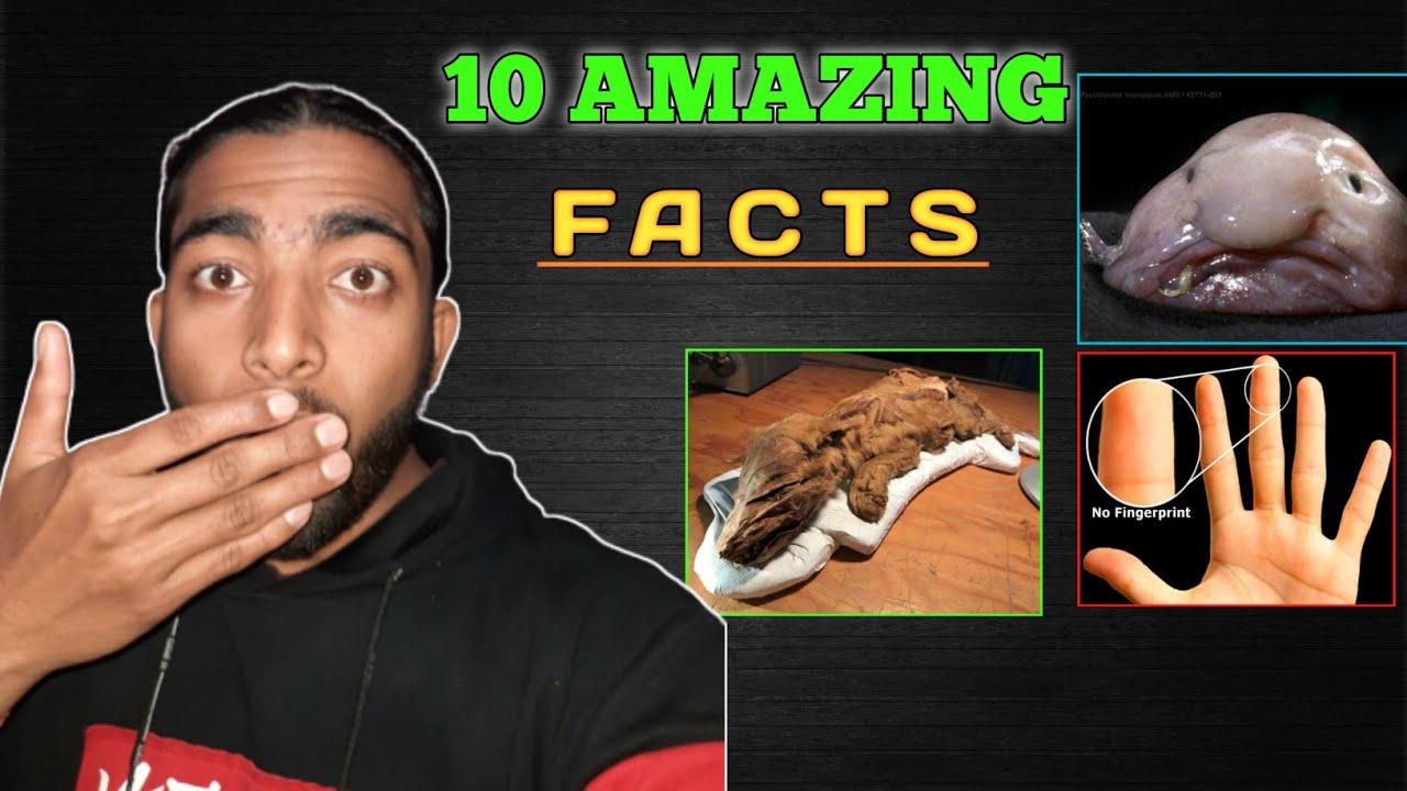 10 AMAZING FACTS IN NEPALI YouTube