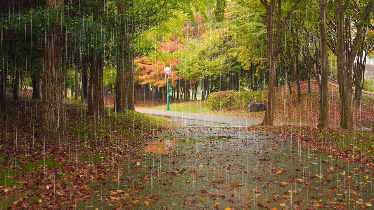 Gentle Rain │Insomnia│Soothing│Rain sounds for sleeping - YouTube