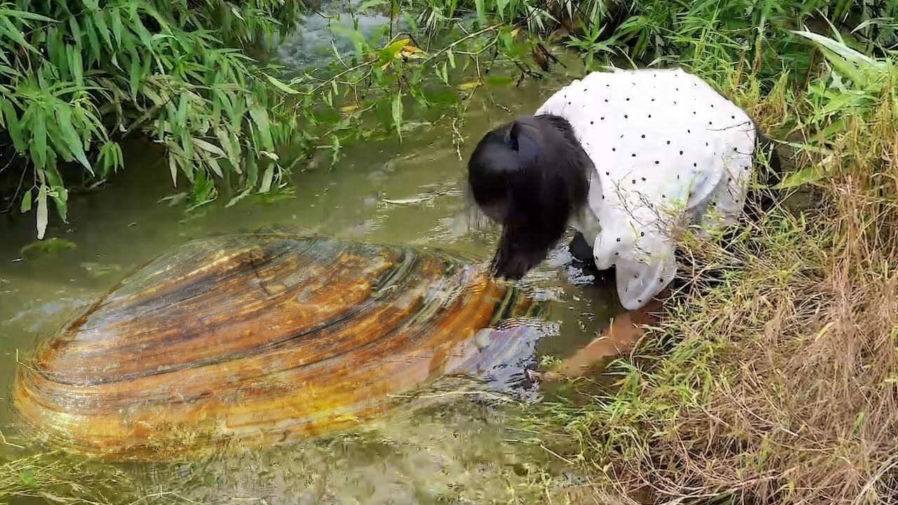 Handmade collection of natural wild pearls, loved by the aristocratic ...