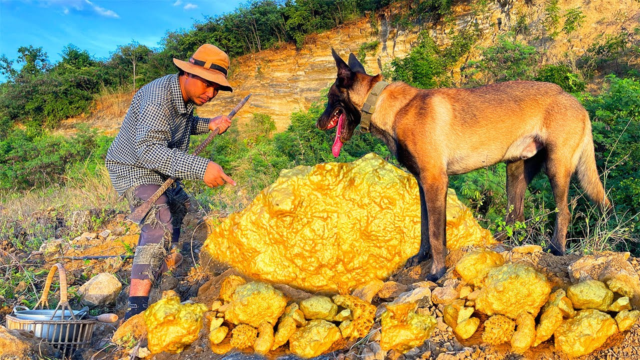 Unbelievable Found Biggest Gold on The Mountain, Most Expensive Gold ...