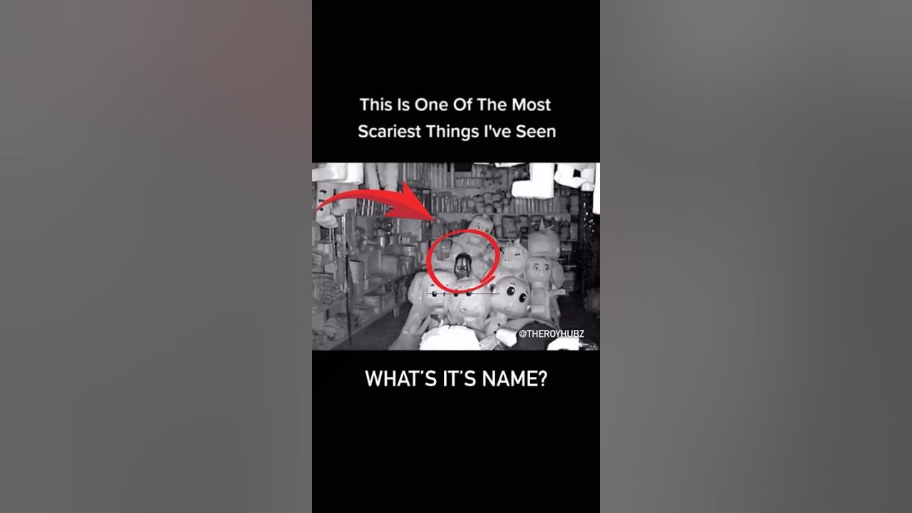 That is One If The Most Scariest Things I’ve Seen | #shorts # ...