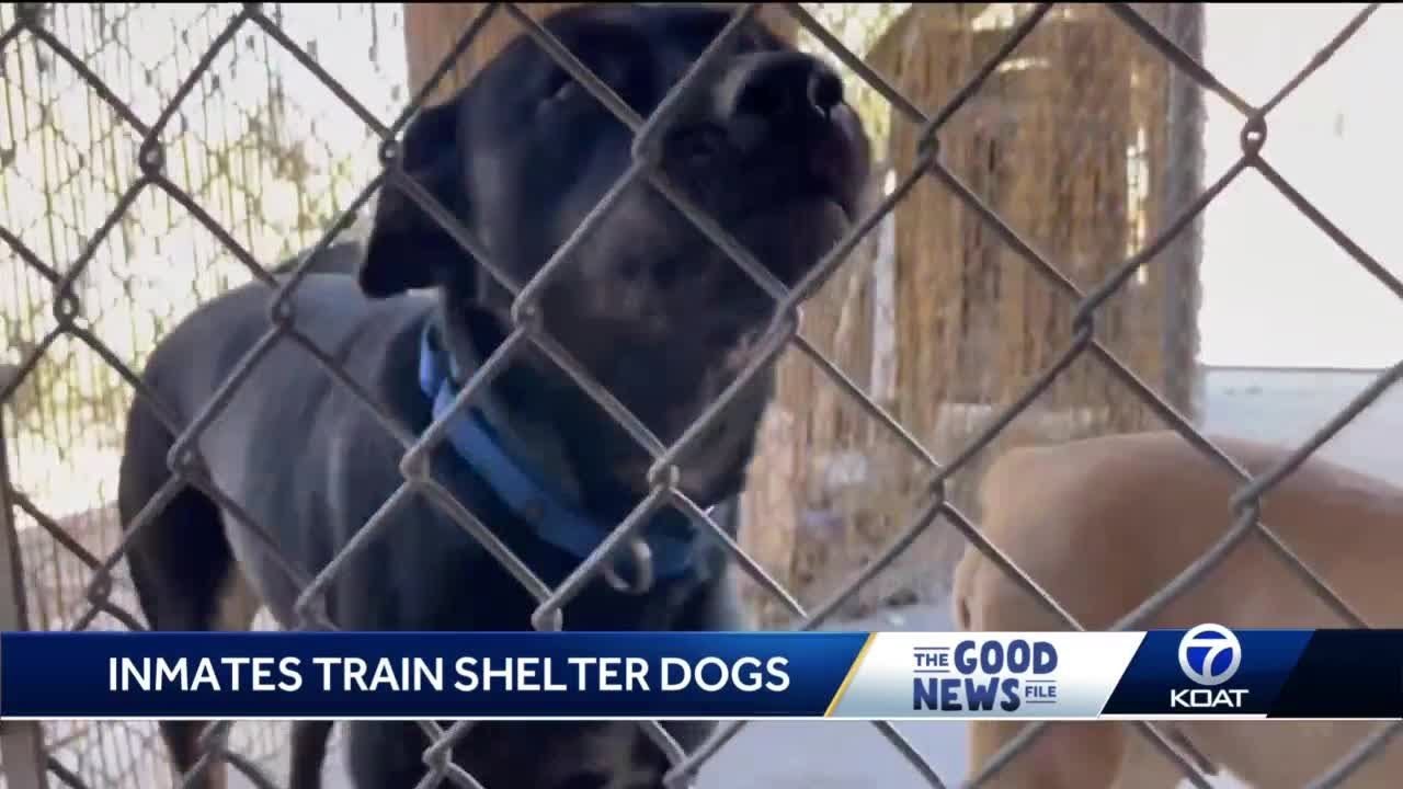 inmates train dogs - YouTube