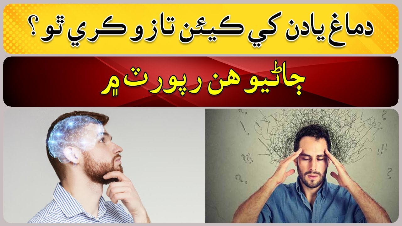 How does the brain refresh memories? - YouTube