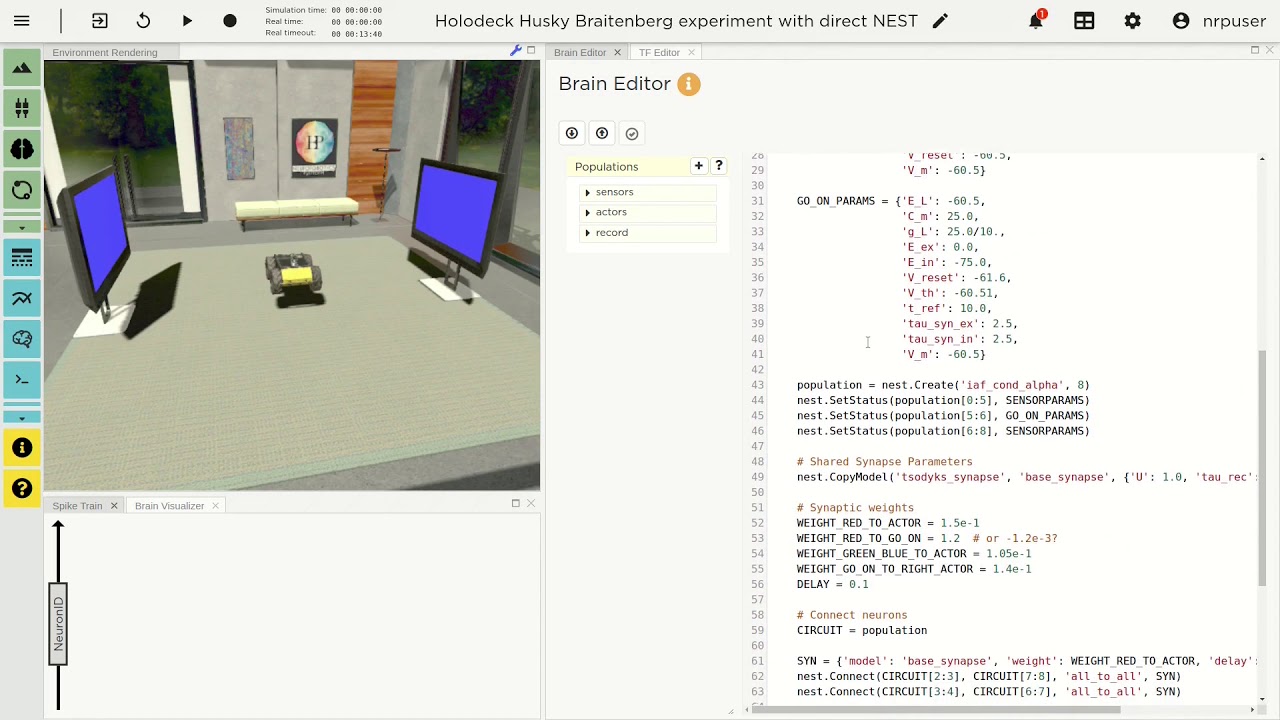4 - Running "pure" NEST simulations - YouTube
