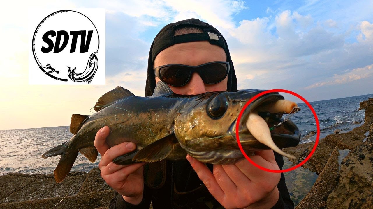 Pollock Fishing Ireland | Savage Gear | Gravity Stick Pintail - YouTube