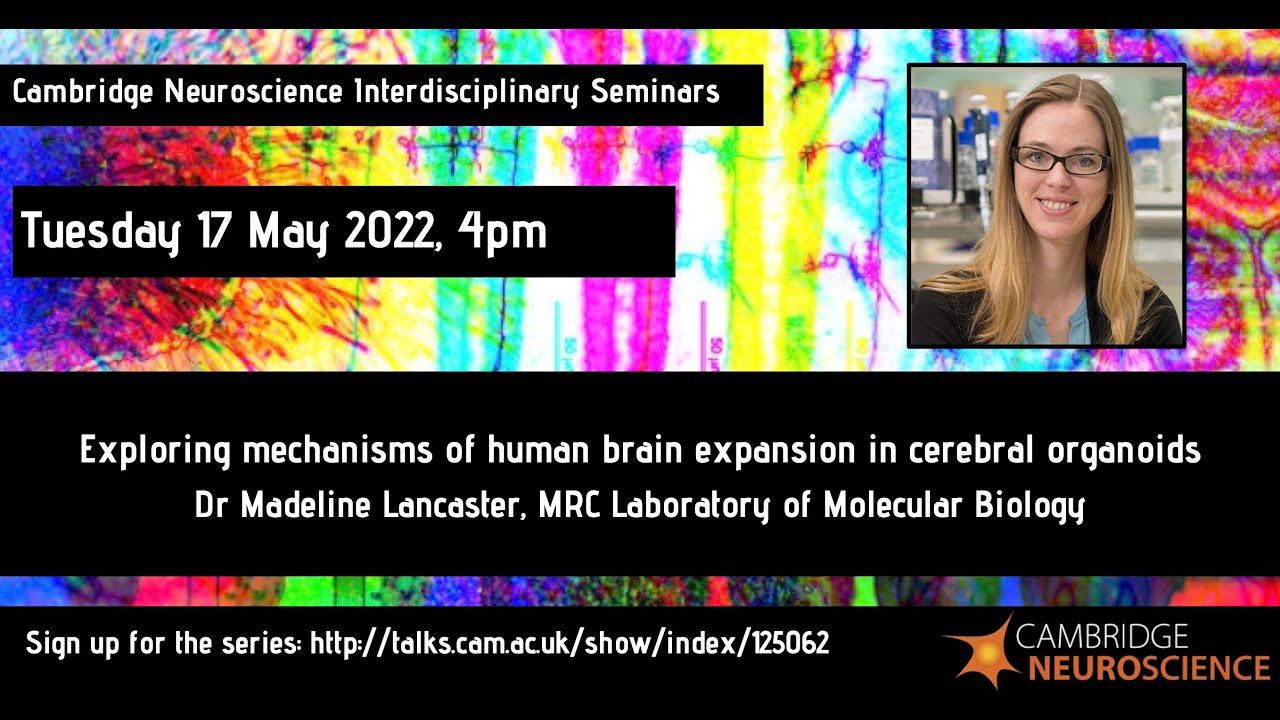 Madeline Lancaster - Exploring mechanisms of human brain expansion in ...