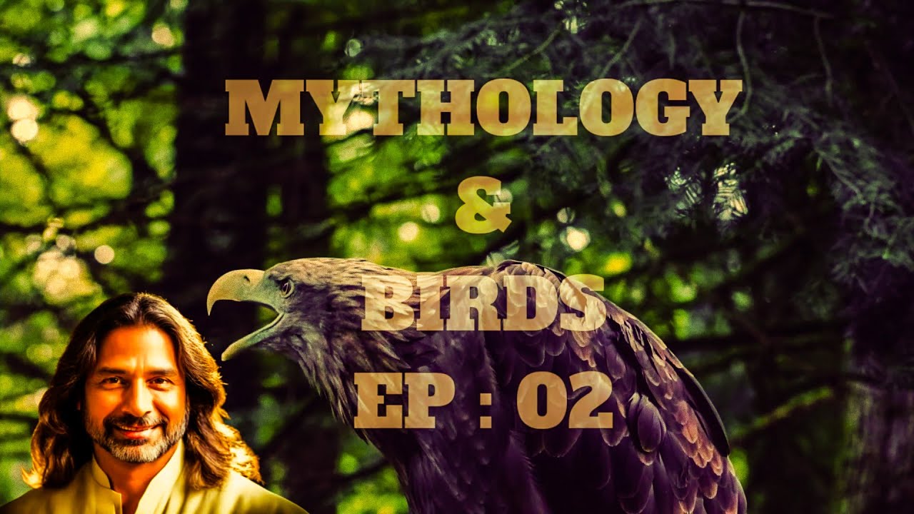 "Feathers of Wisdom: Unveiling the Secrets of Birds' Philosophy ...