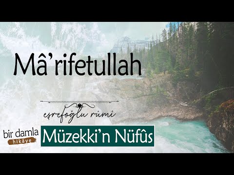 MÂ'RİFETULLAH Üç Mertebe Üzeredir.. | Müzekki'n Nüfûs