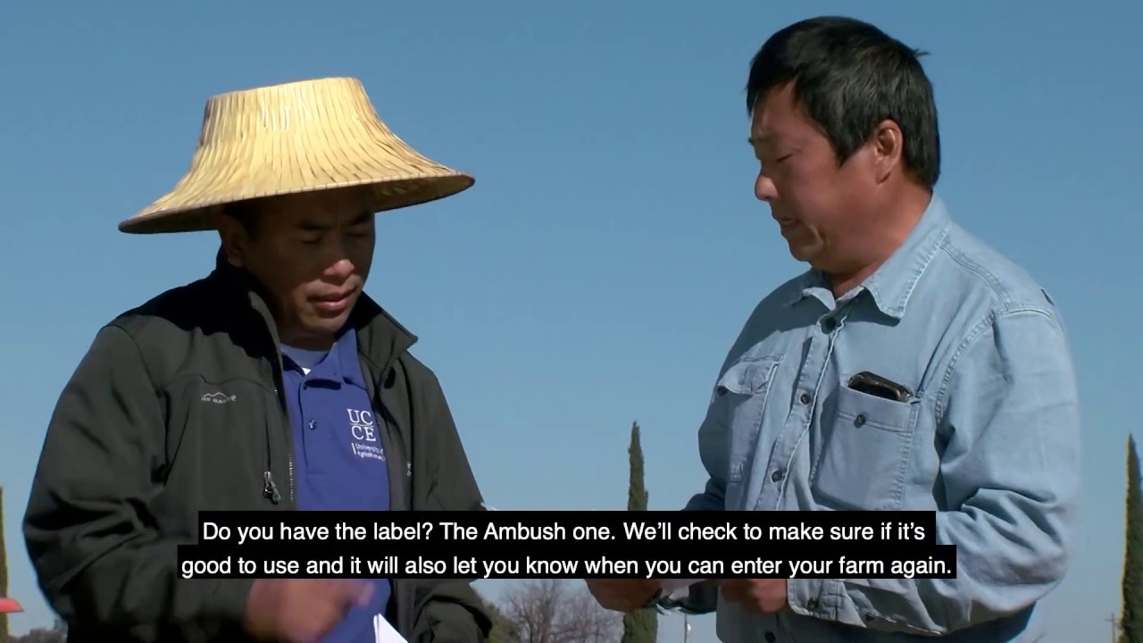 Module 5: Following the Restricted Entry Interval (REI) - YouTube