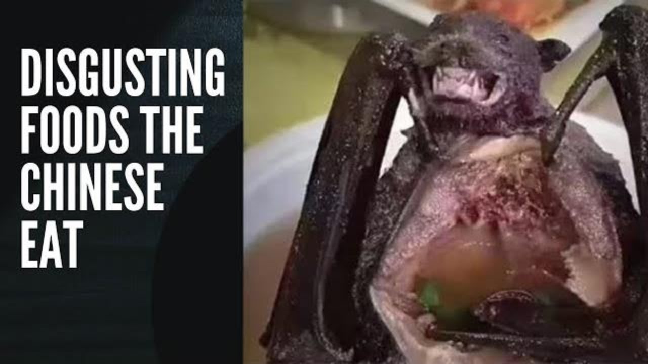Top 10 Disgusting Foods The Chinese Eat | Bizarre Foods - YouTube