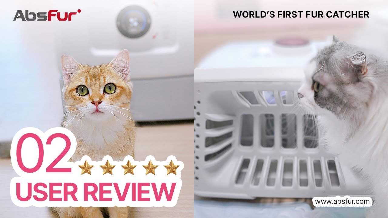 [ 02 User Review ] AbsFur | The World's First Fur Catcher - YouTube