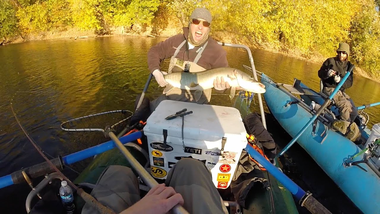 Husky Southern Musky on the fly - YouTube