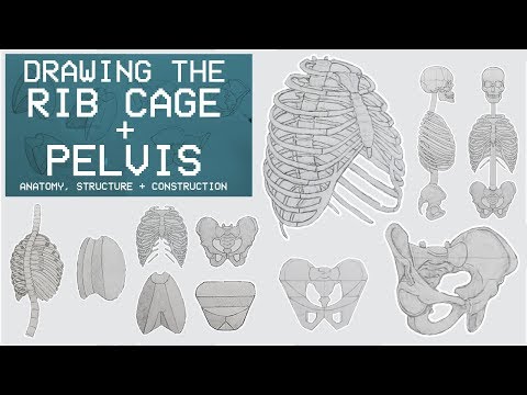 18 Body Drawing Ideas for Beginners - Christine Britton