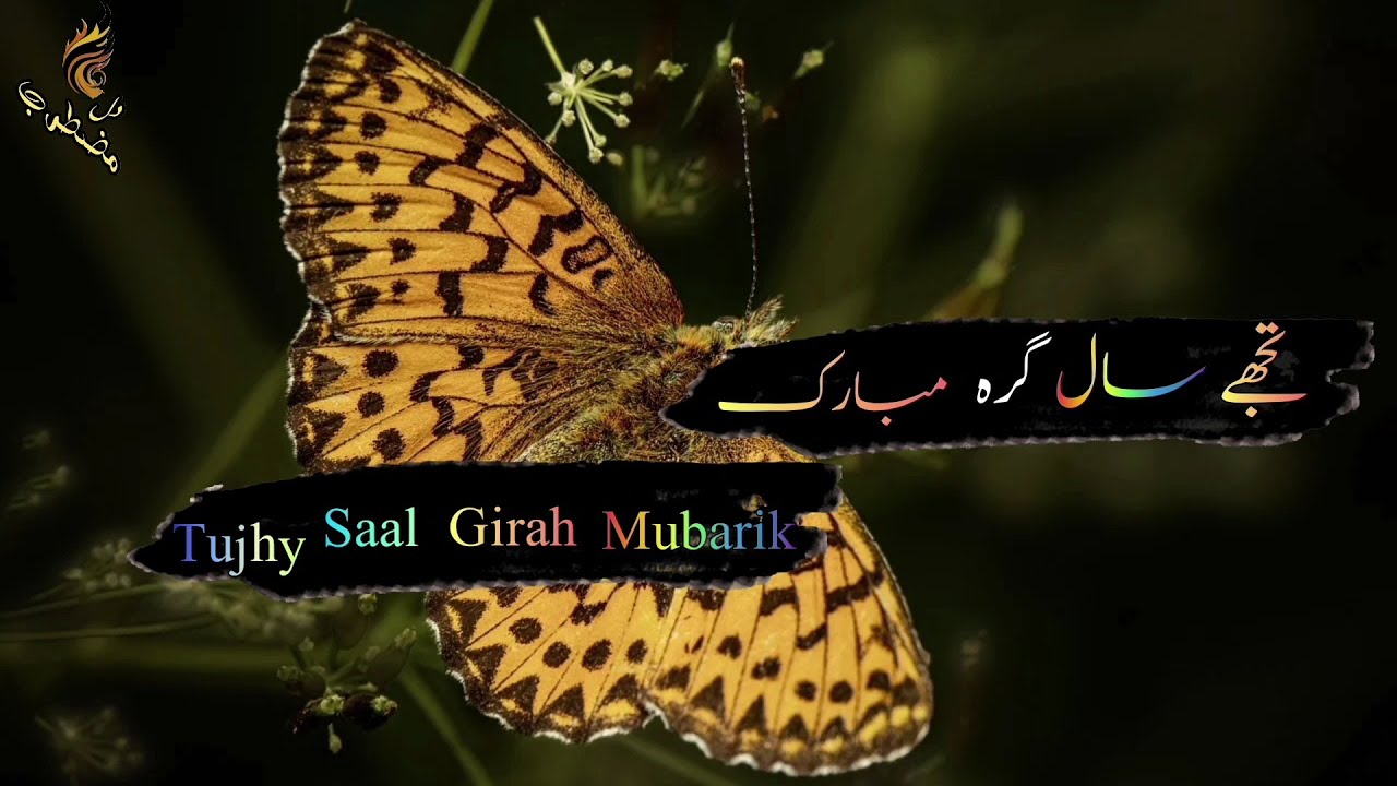 Tujhy Saal Girah Mubarik #sadstatus #poetry #deeplines - YouTube