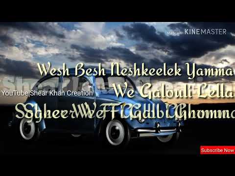 ya lili ya lila || whatsapp status ||...