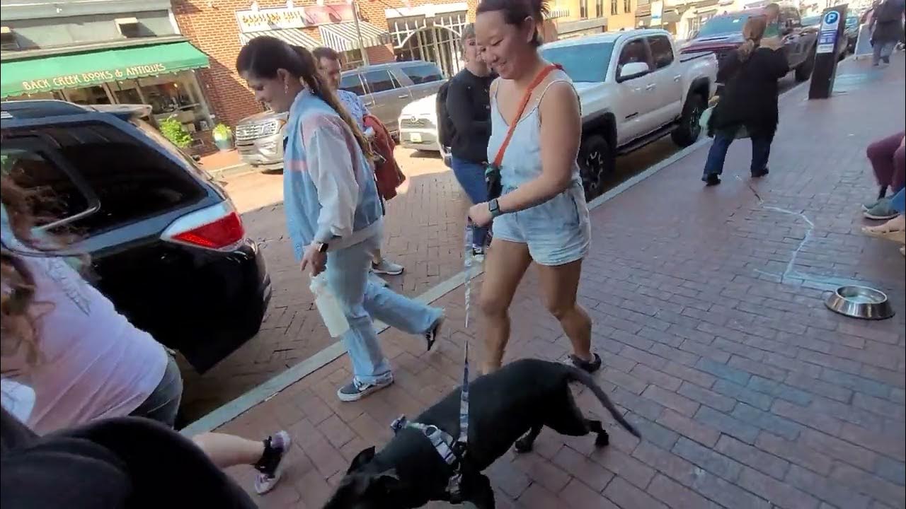 Walking tour Annapolis MD - YouTube