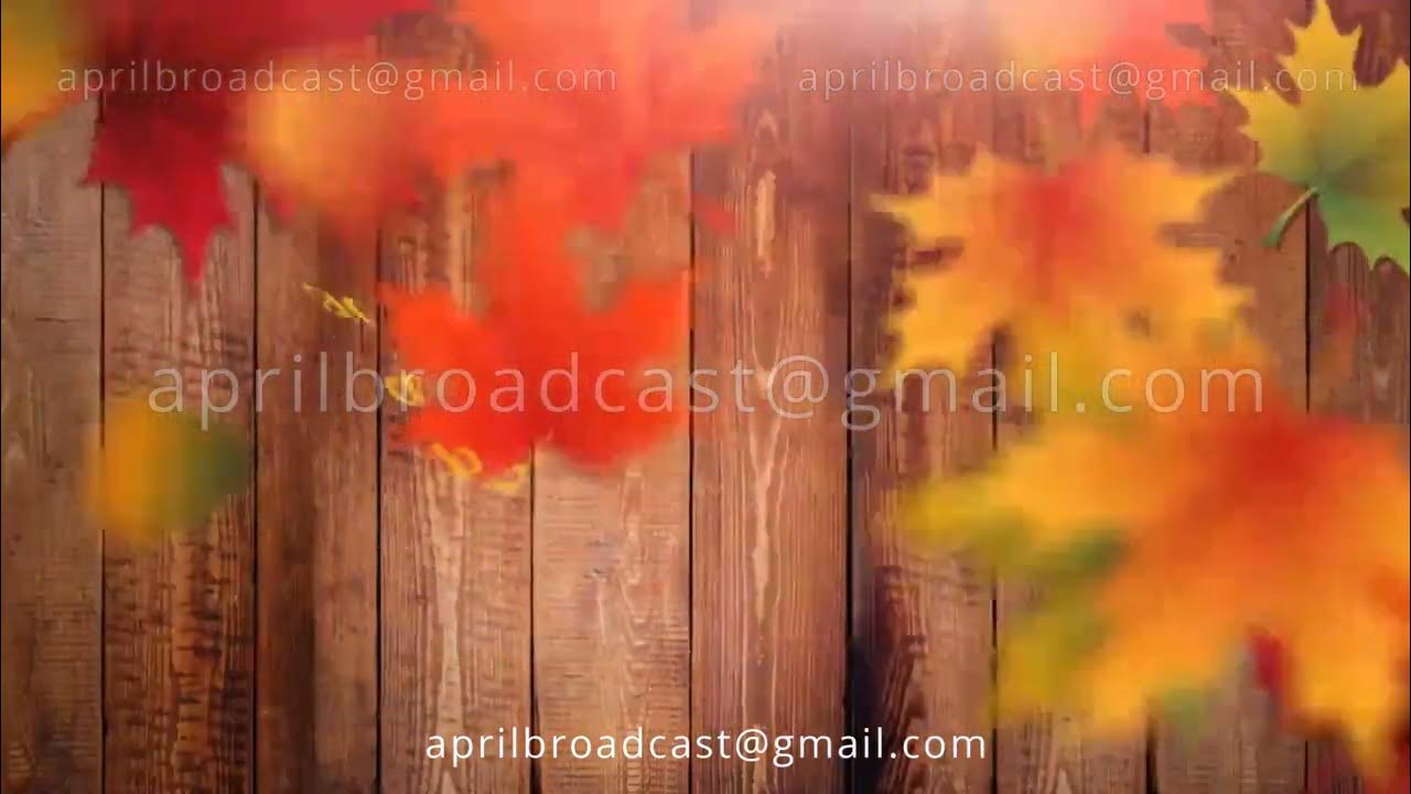 Thanksgiving Set 40 - Virtual Green Screen Background Loop - YouTube