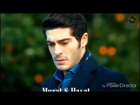 Murat and Hayat latest status ...!!