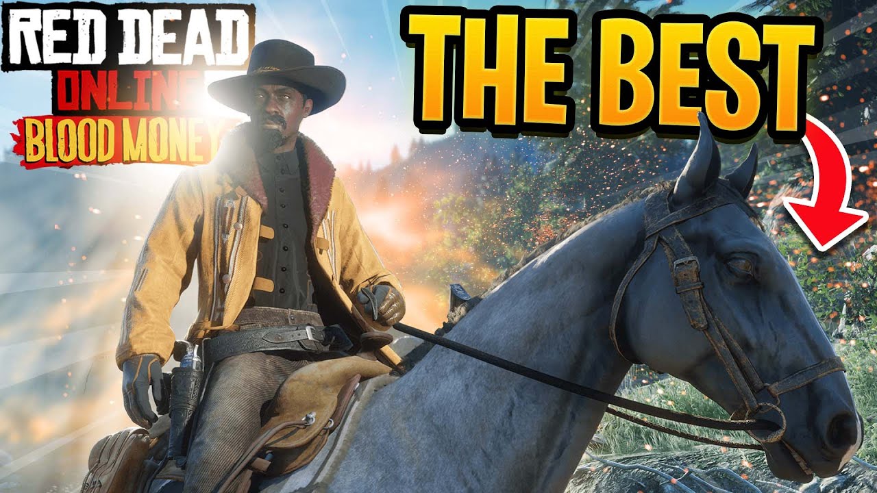 The Only Horse You Need In RDO (The Best RDR2 Online Horses) - YouTube