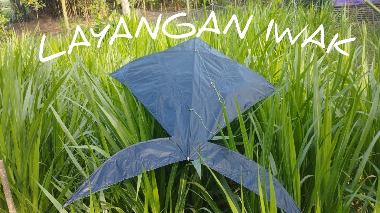 LAYANGAN IKAN TERBANG SEMPURNA - YouTube
