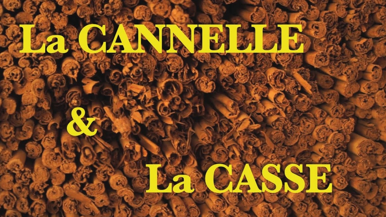 Cannelle et casse - YouTube