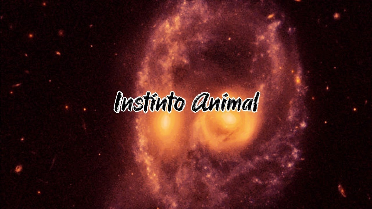Ayax - Instinto Animal | Letra - YouTube
