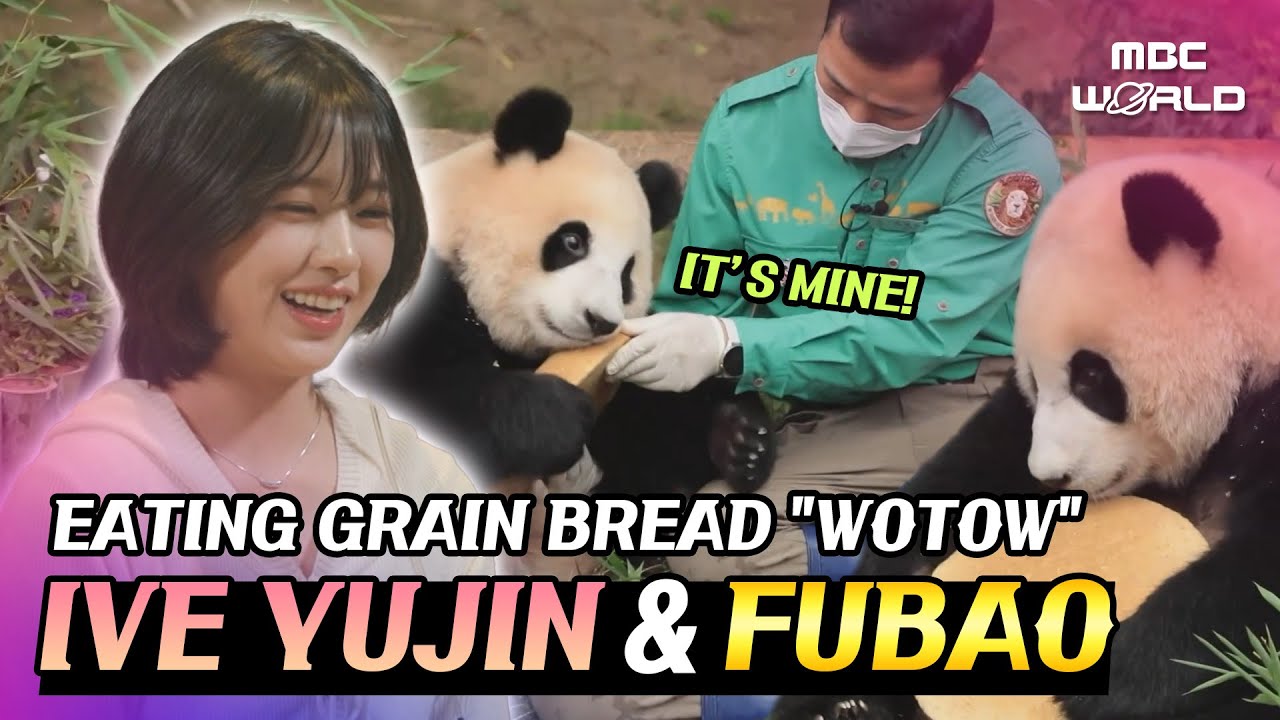 [C.C.] Fubao's Favorite Snack, Grain Bread Wotou! #IVE #YUJIN #FUBAO ...