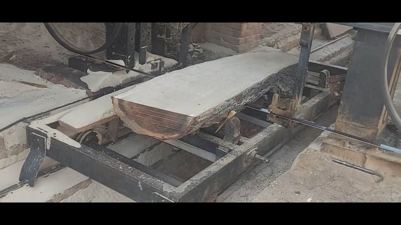 Let's show you how to rip big trees - YouTube