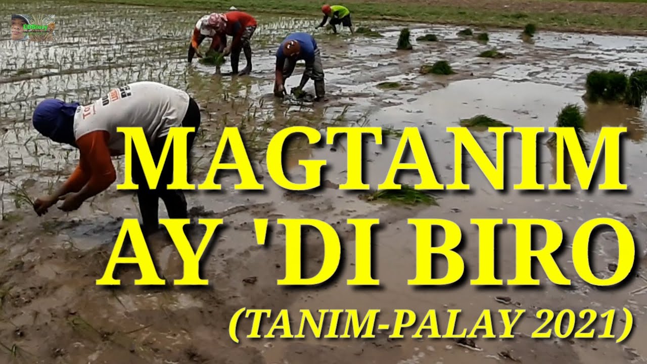 MAGTANIM AY 'DI BIRO (TANIM-PALAY 2021) - YouTube