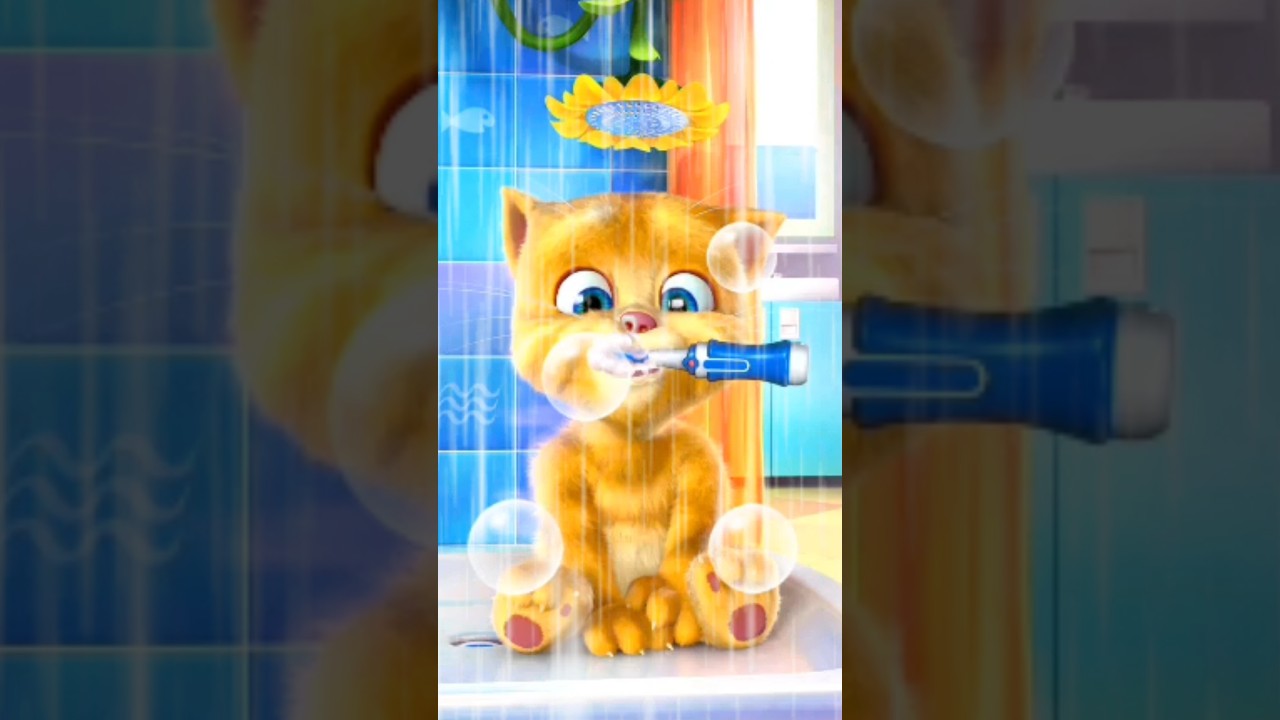 talking ginger está haciendo el bañó de ginger 1 no el 2 #talkinginger ...