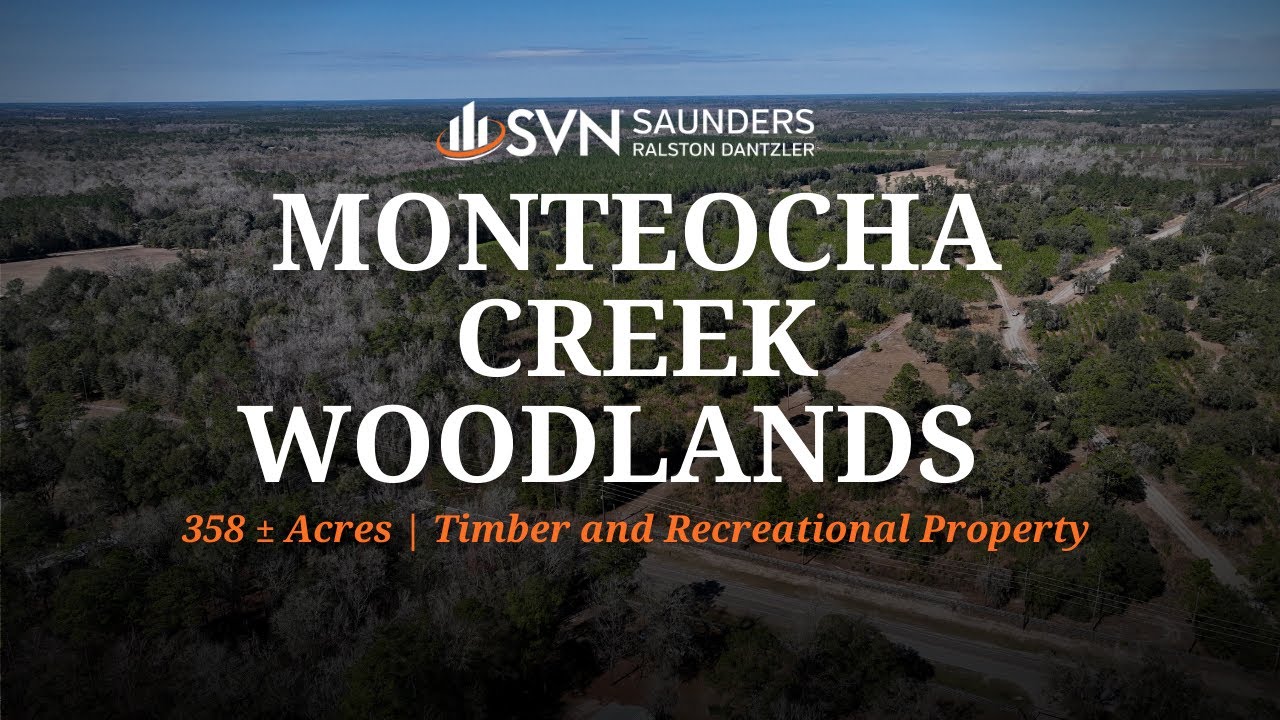 Monteocha Creek Woodlands | 358 ± Acres | Hunting | Timber | For Sale ...