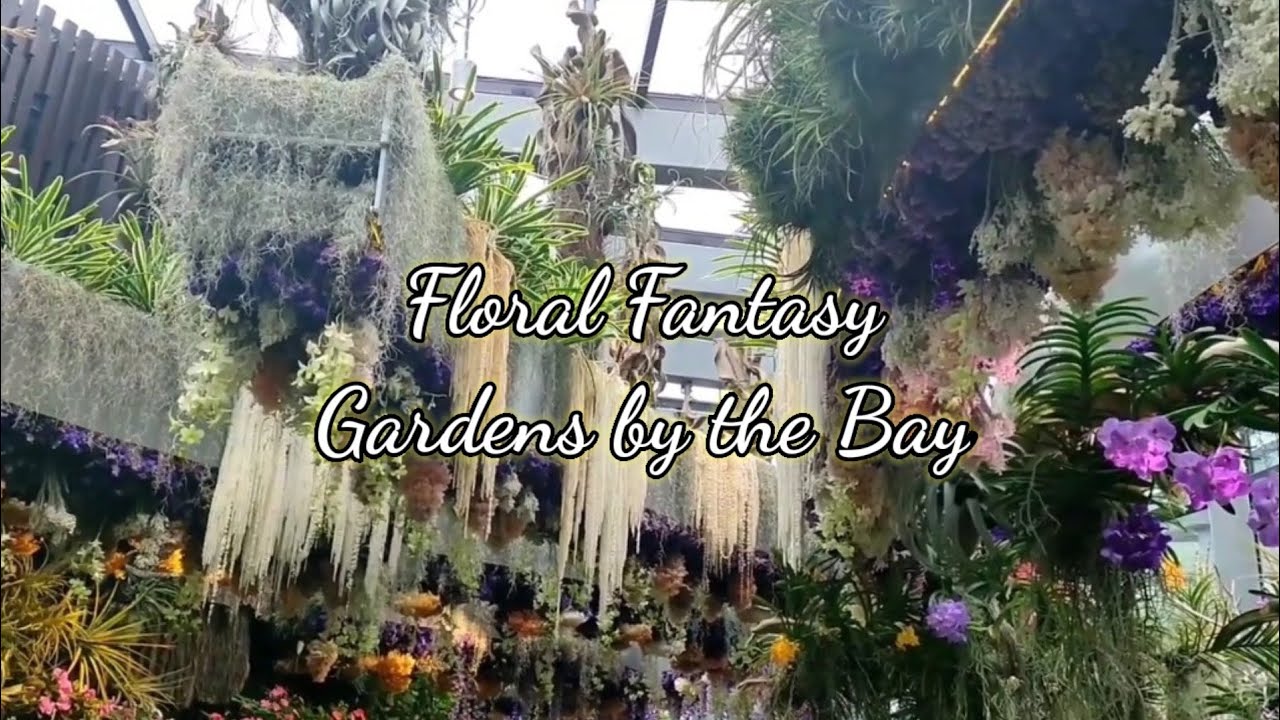 Fantastic display of colorful flowers - YouTube