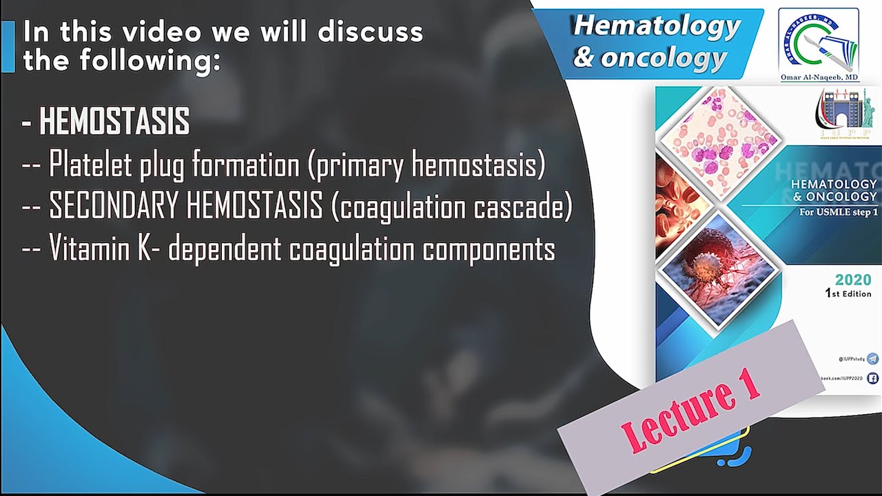 Hemostasis: Platelet plug formation & coagulation cascade - YouTube